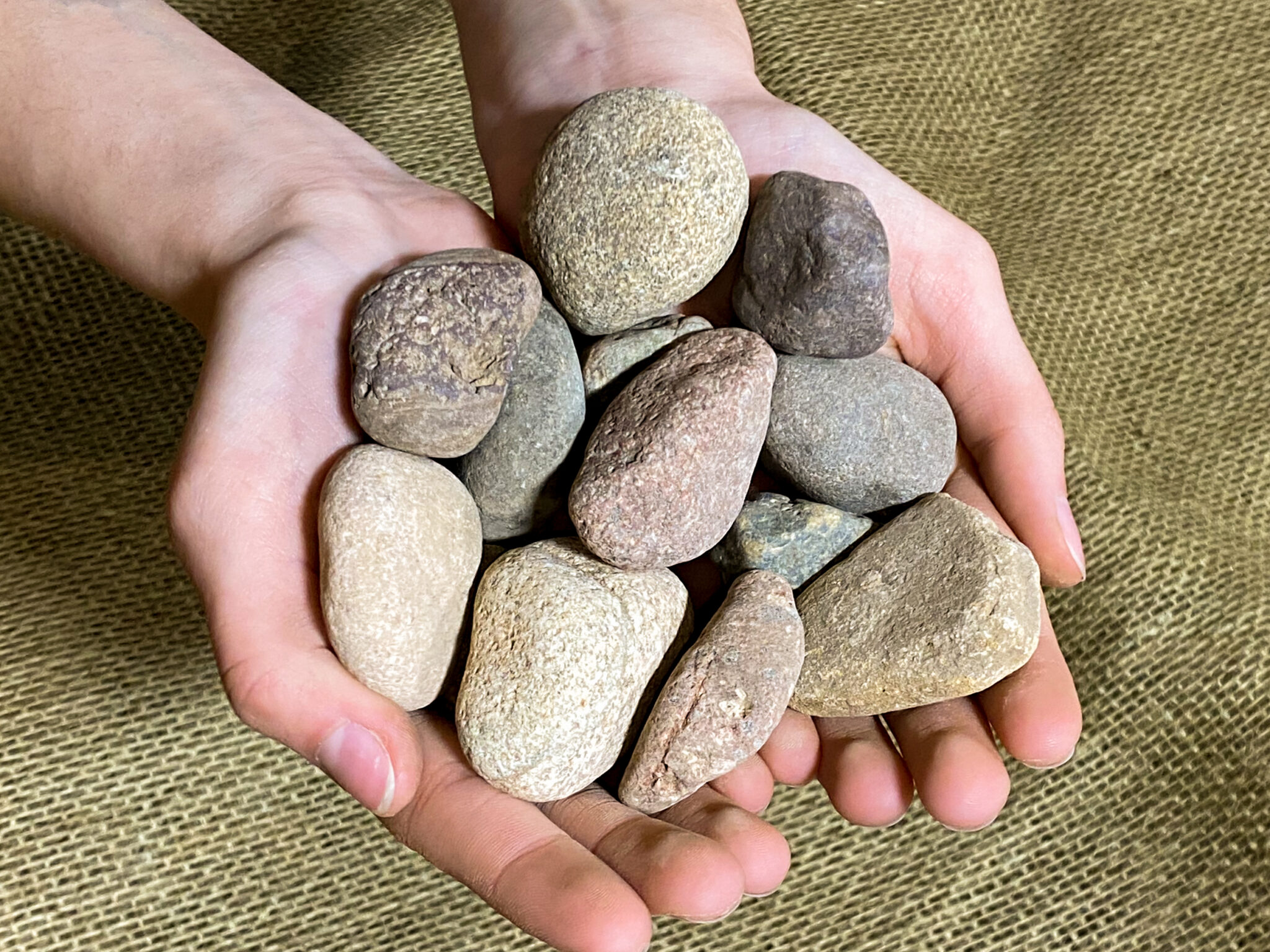 Whispering Hills Garden & Landscape Center | 847-658-5610