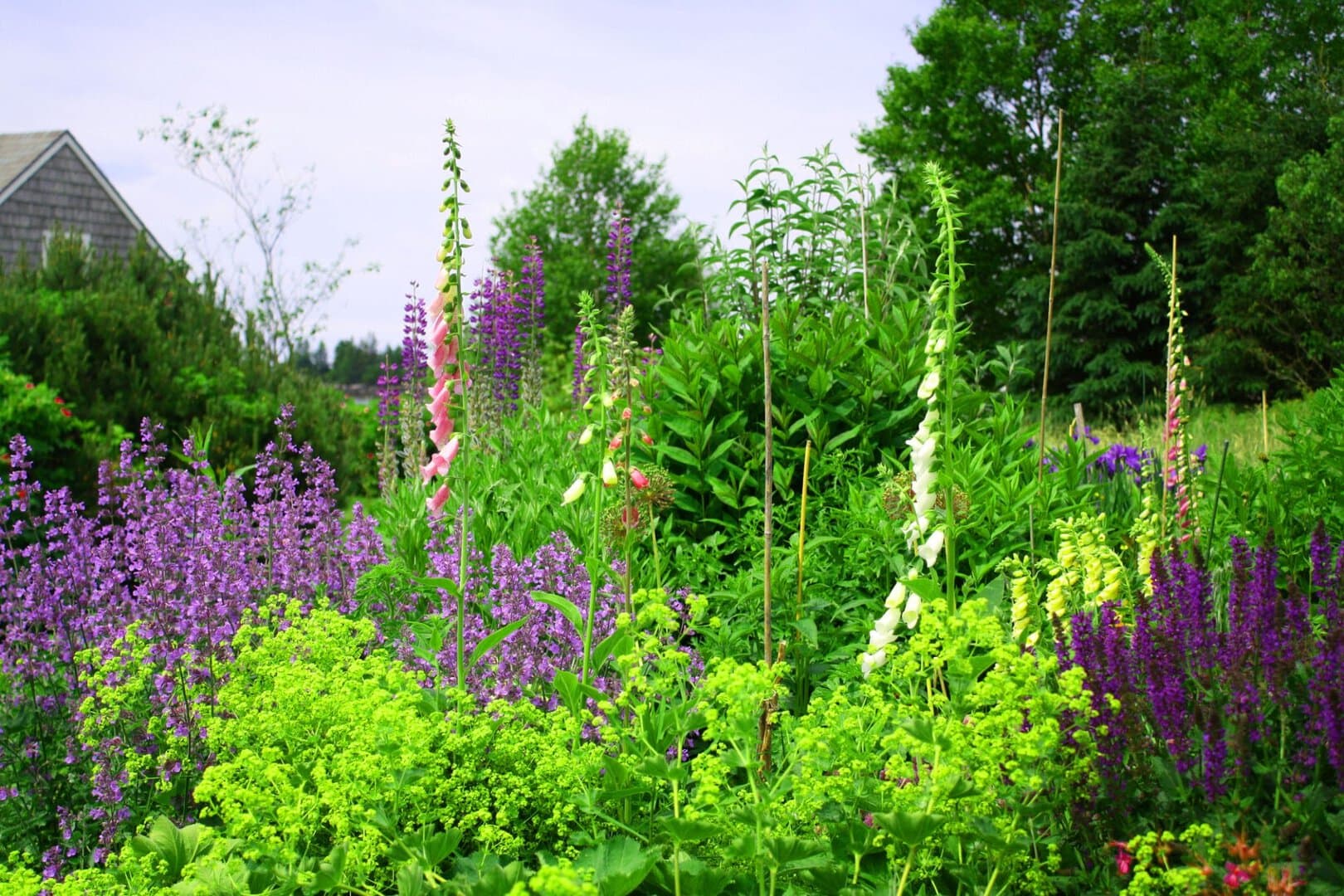Transforming Lawns into Regenerative Gardens: Building Sustainable ...