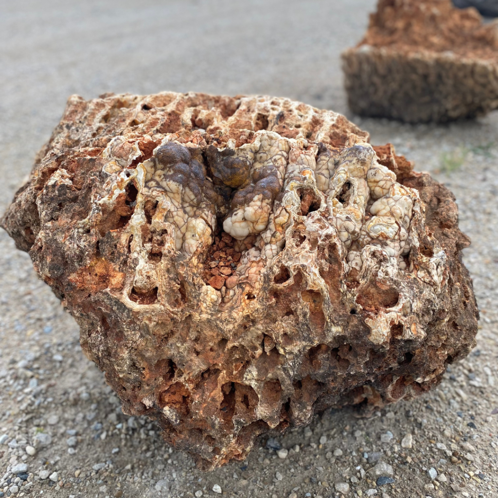 Sponge Boulders | Whispering Hills Nursery